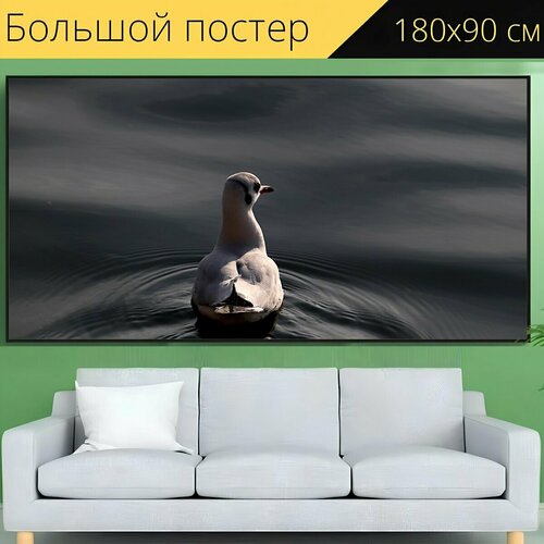 Большой постер "Чайка, птица, река" 180 x 90 см. для интерьера