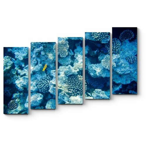 Модульная картина Коралловые рифы 170x119