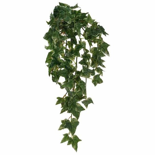Nobilis Marco Plants Искусственное растение Плющ пестрый H70, 106 листьев