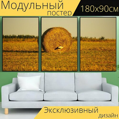 Модульный постер "Поле, зерновое поле, зерно" 180 x 90 см. для интерьера