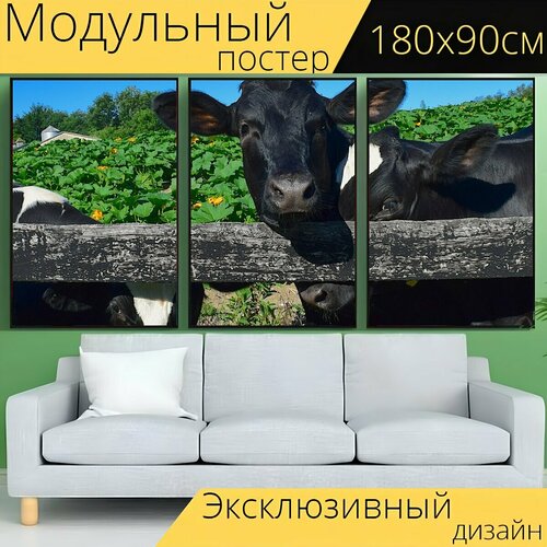 Модульный постер "Коровы, изгородь, ферма" 180 x 90 см. для интерьера