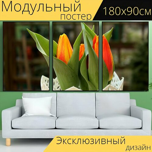 Модульный постер "Тюльпаны, весенние цветы, предвестники весны" 180 x 90 см. для интерьера