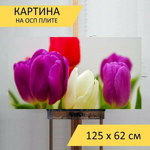 Картина на ОСП 125х62 см. "Цветок, тюльпаны, весна" горизонтальная, для интерьера, с креплениями
