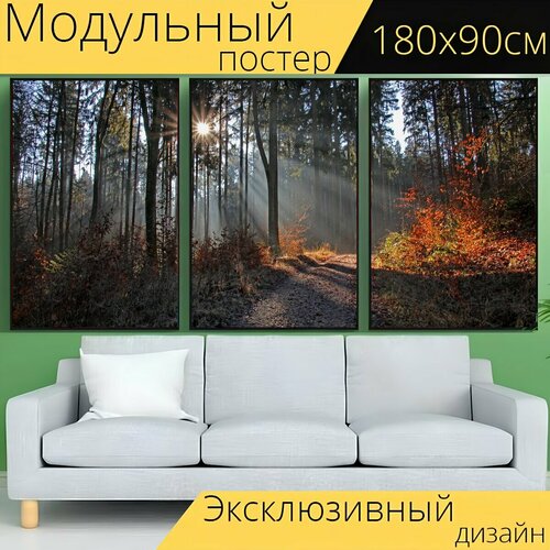 Модульный постер "Солнце, лес, настроение" 180 x 90 см. для интерьера