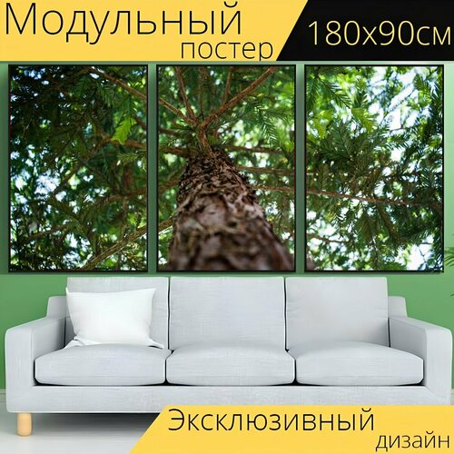 Модульный постер "Дерево, филиал, листья" 180 x 90 см. для интерьера