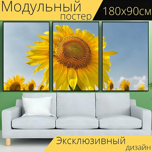 Модульный постер "Подсолнечник, цветок, желтый" 180 x 90 см. для интерьера
