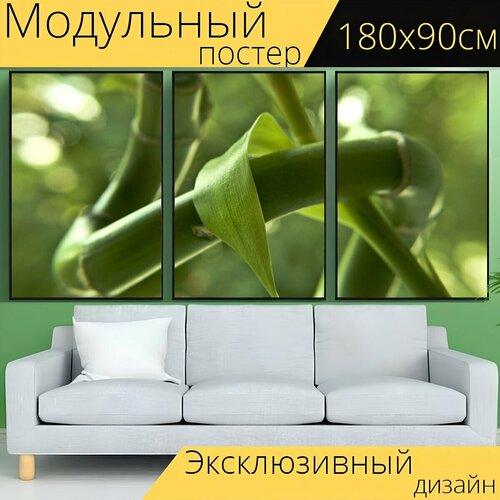 Модульный постер "Бамбук, свежий, природа" 180 x 90 см. для интерьера