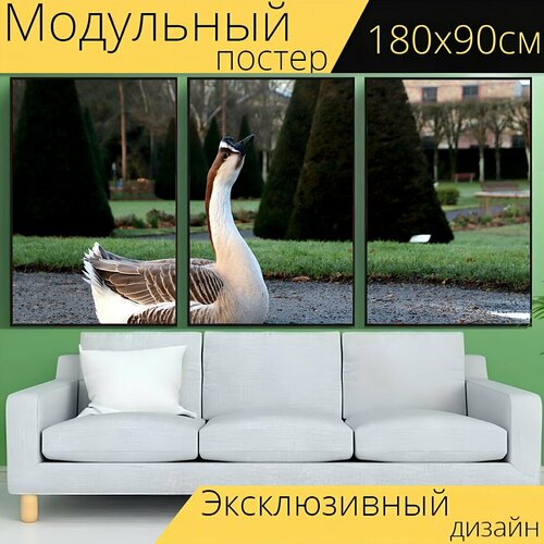 Модульный постер "Гусь, птица, красивая" 180 x 90 см. для интерьера