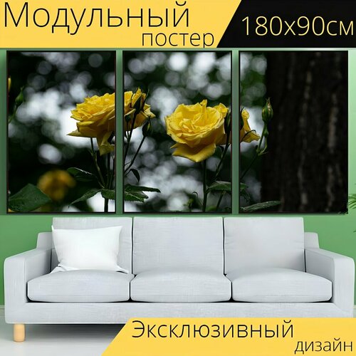 Модульный постер "Желтый, роза, цветок" 180 x 90 см. для интерьера