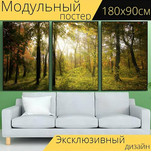 Модульный постер "Лучи, лес, осень" 180 x 90 см. для интерьера