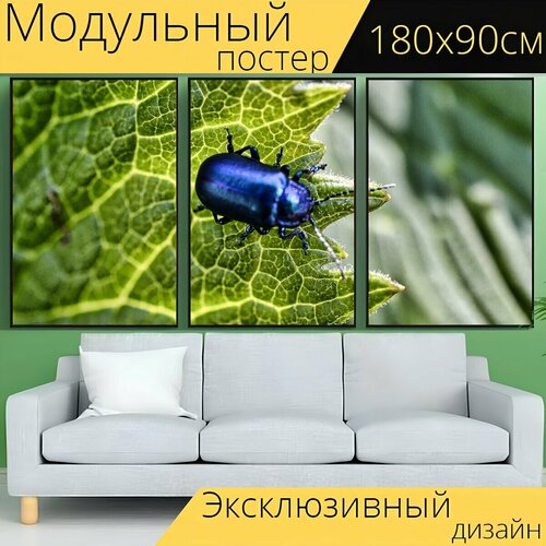 Модульный постер "Насекомое, таракан, насекомые" 180 x 90 см. для интерьера