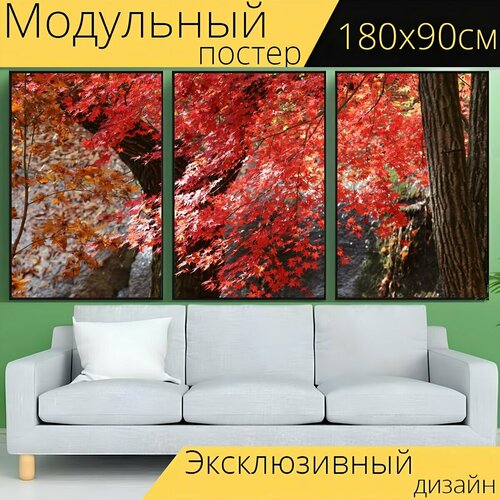 Модульный постер "Осенние листья, кленовое дерево, лист" 180 x 90 см. для интерьера