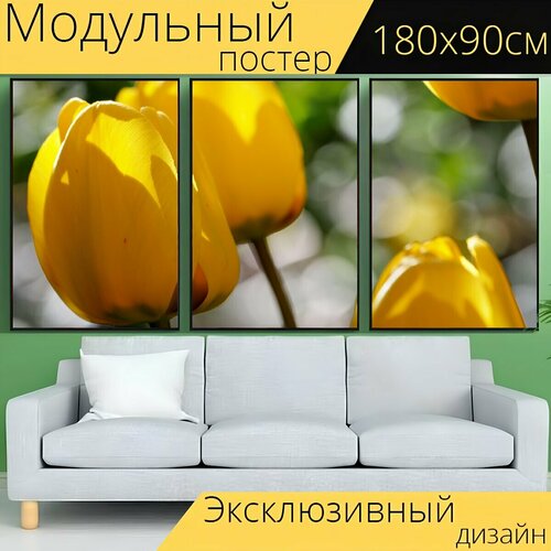 Модульный постер "Тюльпаны, цветы, растения" 180 x 90 см. для интерьера