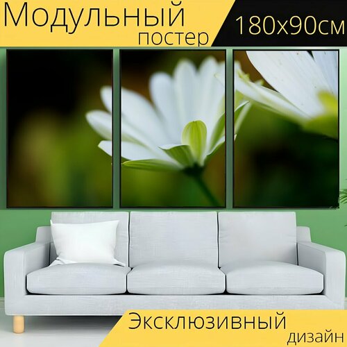 Модульный постер "Цвести, цветок, природа" 180 x 90 см. для интерьера