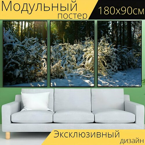Модульный постер "Хвойные породы, солнечный свет, снег" 180 x 90 см. для интерьера