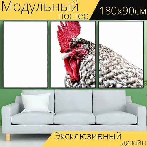 Модульный постер "Гокель, кран, курица" 180 x 90 см. для интерьера