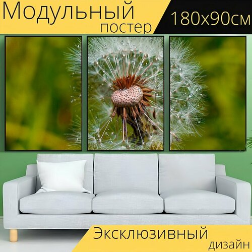 Модульный постер "Одуванчик, цветок, весна" 180 x 90 см. для интерьера