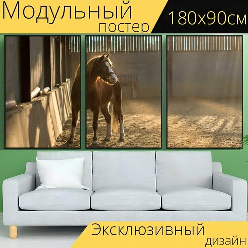 Модульный постер "Лошадь, животное, домашний питомец" 180 x 90 см. для интерьера