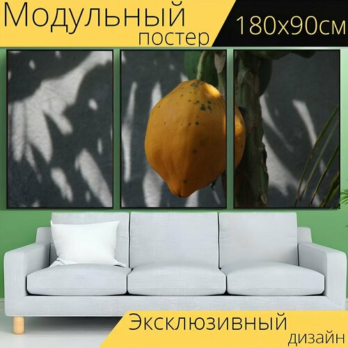 Модульный постер "Папайя, фрукты, еда" 180 x 90 см. для интерьера