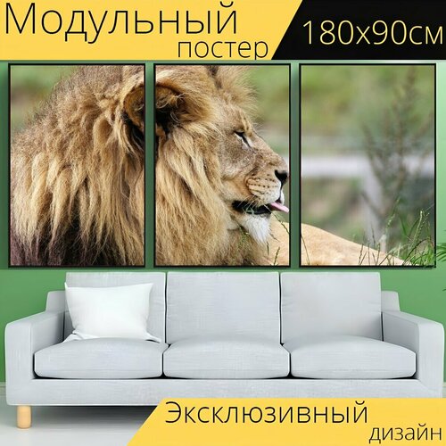 Модульный постер "Лев, большой кот, дикая природа" 180 x 90 см. для интерьера