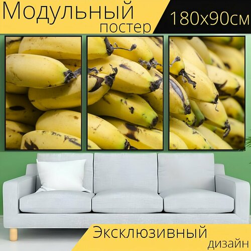 Модульный постер "Фрукты, банан, еда" 180 x 90 см. для интерьера