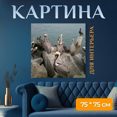 Картина на холсте "Пеликаны, птица, океан" на подрамнике 75х75 см. для интерьера