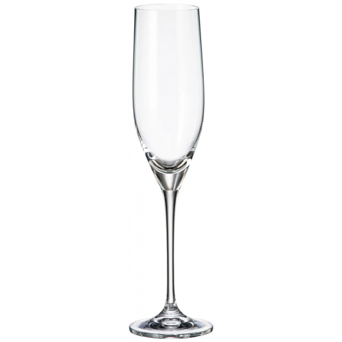Набор бокалов для шампанского 240 мл Sitta, 6 шт 6938559