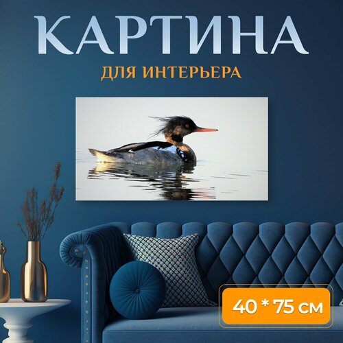 Картина на холсте "Крохаль, водоплавающих птиц, утка" на подрамнике 75х40 см. для интерьера