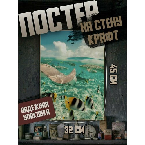 Постер 32х45 Подводный мир