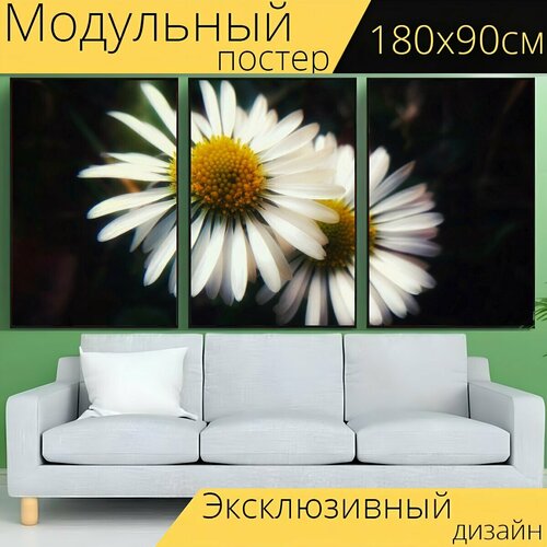 Модульный постер "Белый, весна, цветы" 180 x 90 см. для интерьера