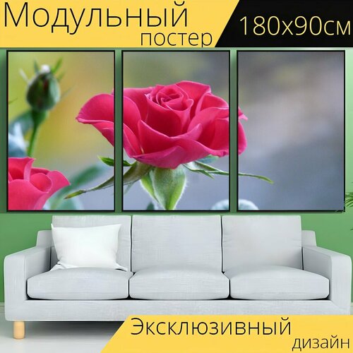 Модульный постер "Роза, миниатюра, цветок" 180 x 90 см. для интерьера