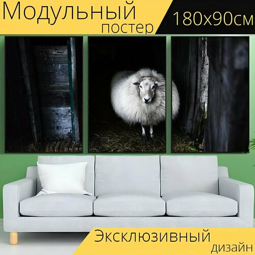 Модульный постер "Млекопитающее, овец, белый" 180 x 90 см. для интерьера