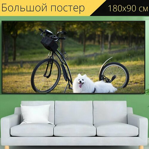 Большой постер "Собака, скутер, велосипед" 180 x 90 см. для интерьера