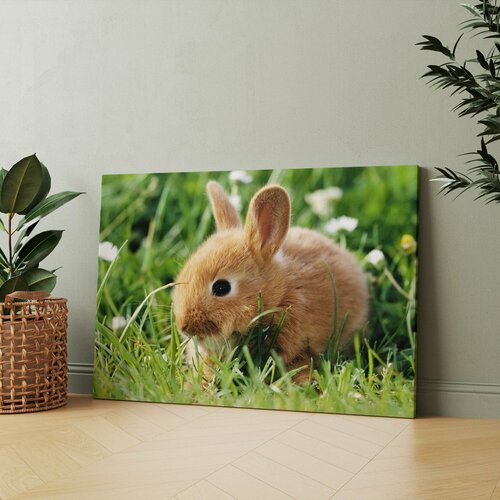 Картина на холсте (маленькие кролики милый зайчонок карликовый) 80x100 см/для интерьера/в комнату/на стену/в подарок