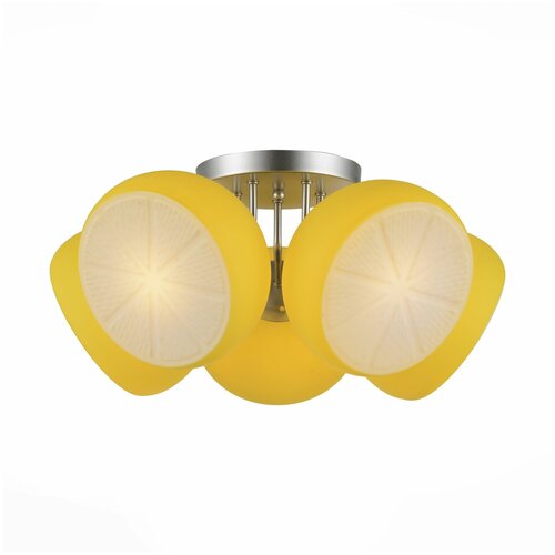 Люстра потолочная ST Luce Arancio SL482.902.05 5x40Вт E27