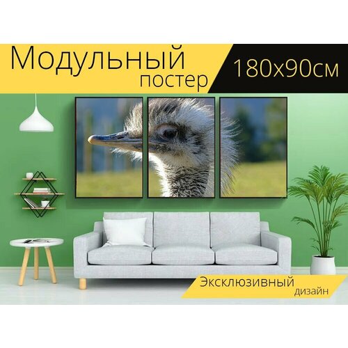 Модульный постер "Страус, птица, животное" 180 x 90 см. для интерьера
