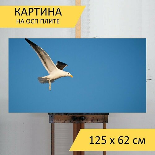 Картина на ОСП 125х62 см. "Ламинария чайка в полете, мыс чайка, сиберд" горизонтальная, для интерьера, с креплениями
