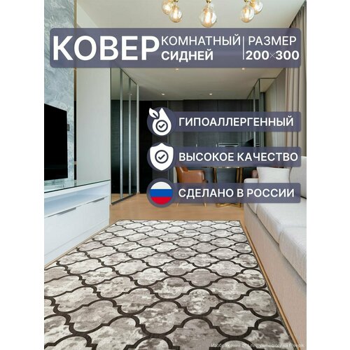 Ковёр с ворсом для комнаты 200х300 см