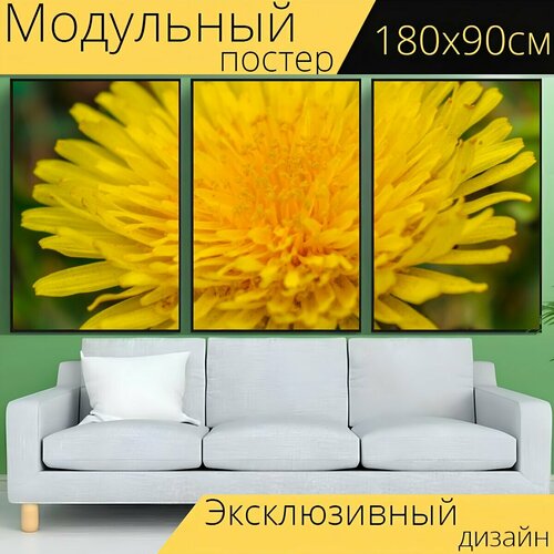 Модульный постер "Одуванчик, цветок, жёлтый" 180 x 90 см. для интерьера