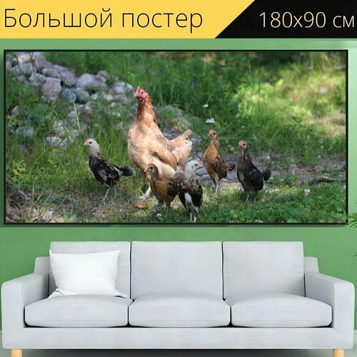 Большой постер "Курица, цыпленок, ферма" 180 x 90 см. для интерьера