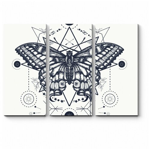 Модульная картина Эскиз бабочки 160x115