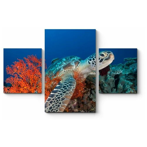 Модульная картина Морская черепаха в кораллах110x72