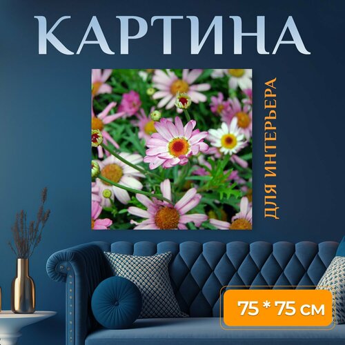 Картина на холсте "Цветы, маргарита, луг" на подрамнике 75х75 см. для интерьера