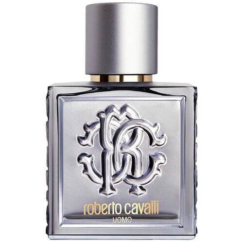 Roberto Cavalli туалетная вода Roberto Cavalli Uomo Silver Essence, 60 мл