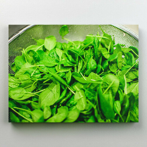 Интерьерная картина на холсте "Зеленый шпинат" для кухни, кафе и ресторанов, размер 60x45 см