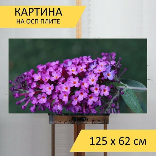 Картина на ОСП 125х62 см. "Цветок, фиолетовый, кустарничковый" горизонтальная, для интерьера, с креплениями