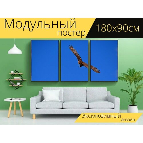 Модульный постер "Орел, полет, птица" 180 x 90 см. для интерьера