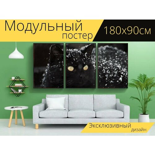 Модульный постер "Кот, черный кот, снег" 180 x 90 см. для интерьера