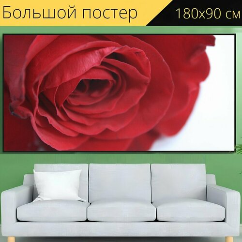 Большой постер "Роза, цветок, красный" 180 x 90 см. для интерьера