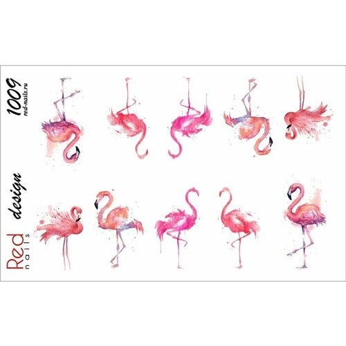 Слайдер-дизайн Red Nails №1009 - Фламинго